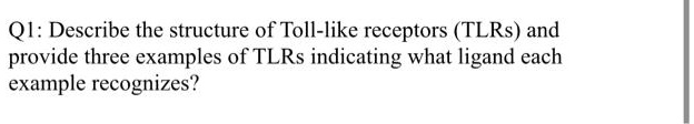 SOLVED: QI: Describe the structure of Toll-like receptors (TLRs) and ...