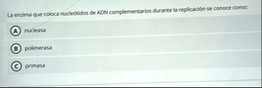 la enzima que coloca nucleotidos de adn complementarios durante la ...
