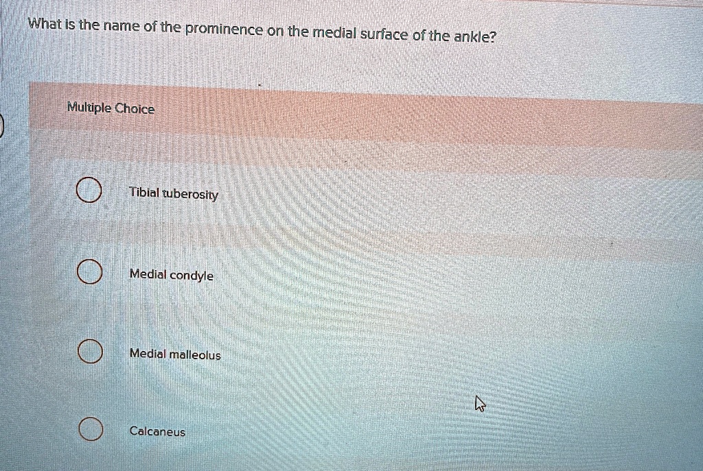 What is the name of the prominence on the medial surface of the ankle ...