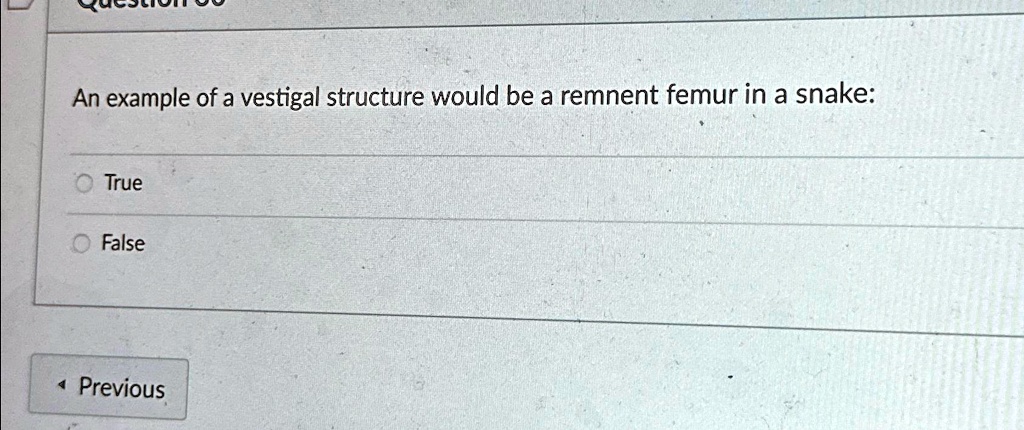An example of a vestigal structure would be a remnent femur...