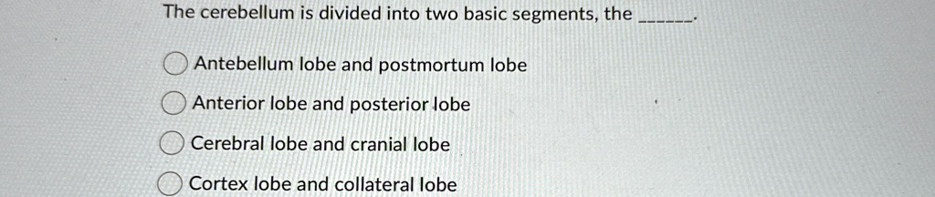 The cerebellum is divided into two basic segments, the Antebellum lobe ...