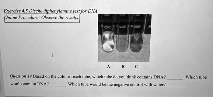 [GET ANSWER] exercise 4 5 dische diphenylamine test for dna online ...