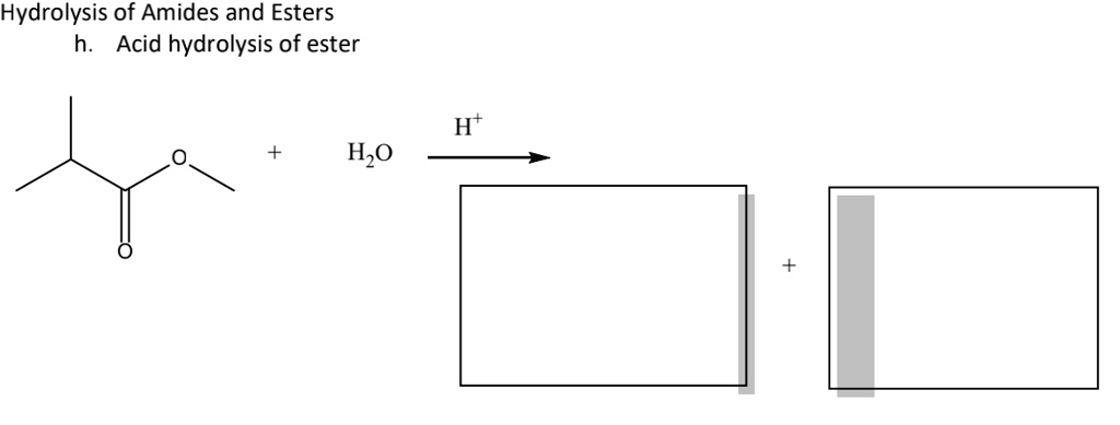 SOLVED:Hydrolysis of Amides and Esters Acid hydrolysis of ester Ht HzO