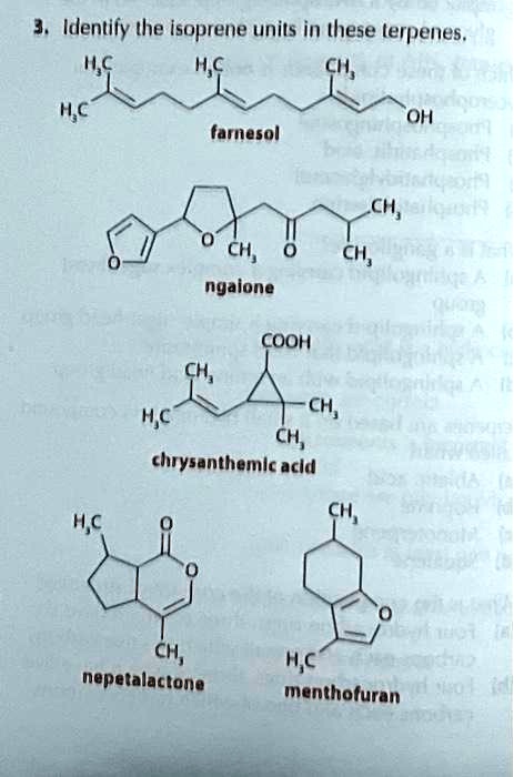 SOLVED: 3. Identify the isoprene units in these terpenes. HC CH3 farnesol CH3 ngaione COOH ...
