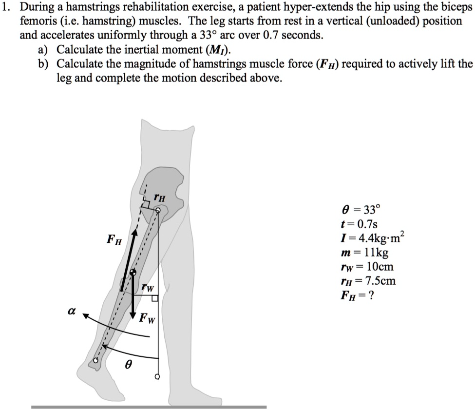 during a hamstrings rehabilitation exercise a patient hyper extends the ...