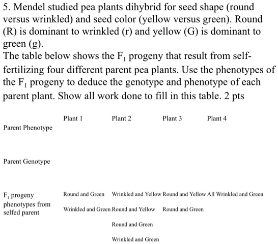 5 mendel studied pea plants dihybrid for seed shape round versus ...