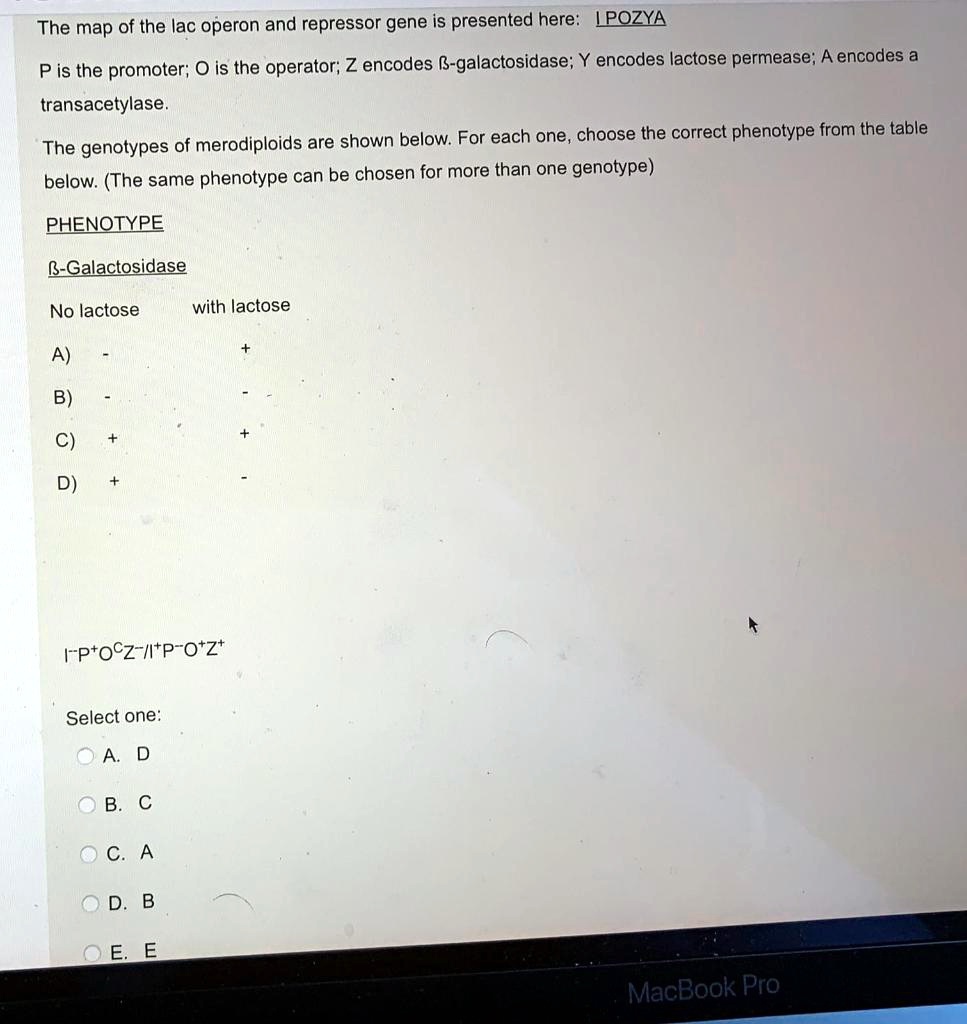the map of the lac operon and repressor gene is presented here pozya ...