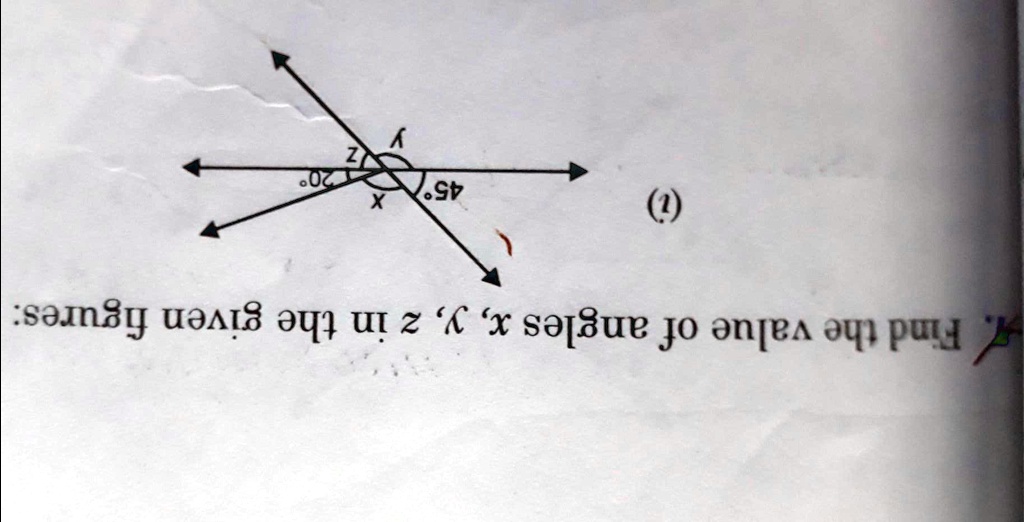 SOLVED: 'Find the value of angles x, y, z in the given figure:'