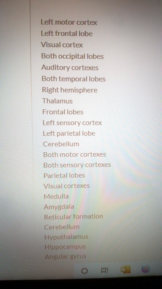 left motor cortex left frontal lobe visual cortex both occipital lobes ...