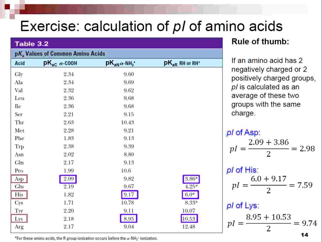 exercise calculation of pi of amino acids table 32 pka values of common amino acids rule of ...