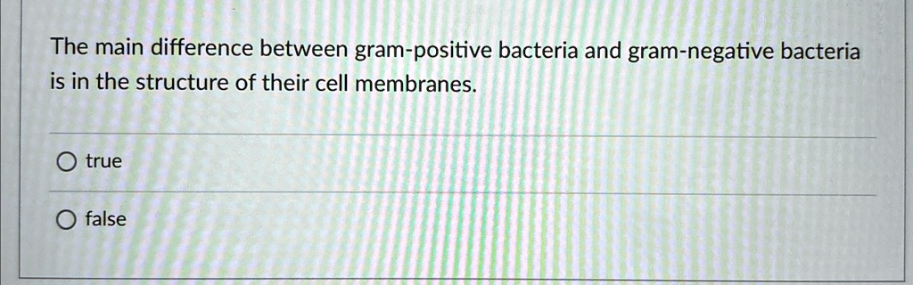 The main difference between gram-positive bacteria and gram-negative ...