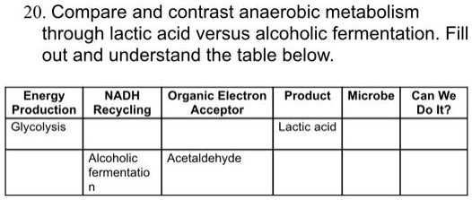 Solved 20 Compare And Contrast Anaerobic Metabolism Through Lactic Acid Versus Alcoholic