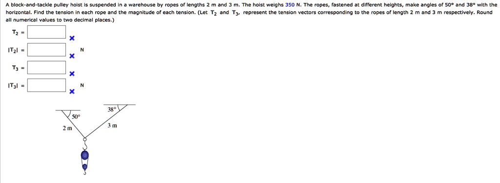 SOLVED: block-and-tackle pulley hoist suspended in warehouse bY ropes ...