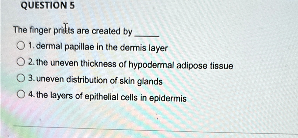 QUESTION 5 The finger prints are created by 1. dermal papillae in the ...