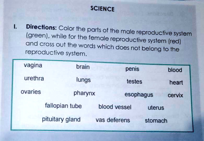 SOLVED: Please answer this question, thank you. SCIENCE Directions ...