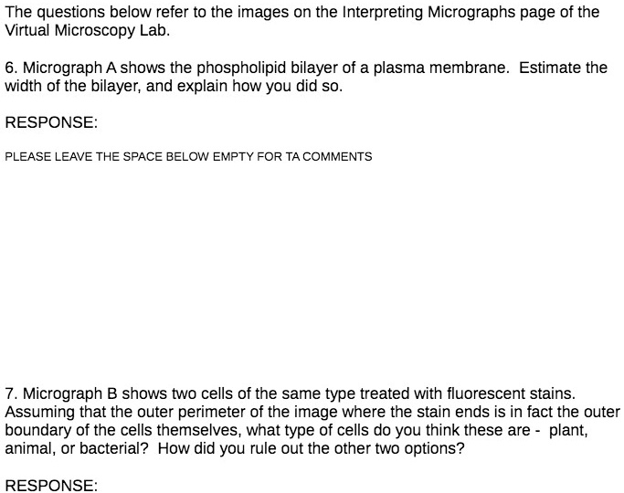 SOLVED: 'The questions below refer to the images on the Interpreting ... SOLVED: 'The questions below refer to the images on the Interpreting ...
