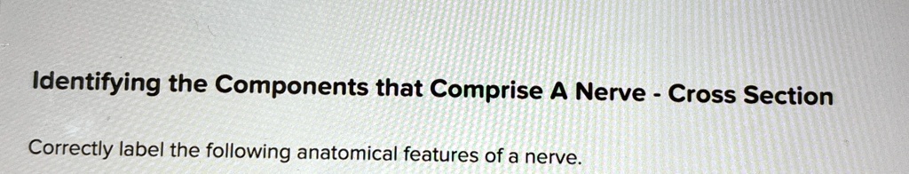 Identifying the Components that Comprise A Nerve - Cross Section ...