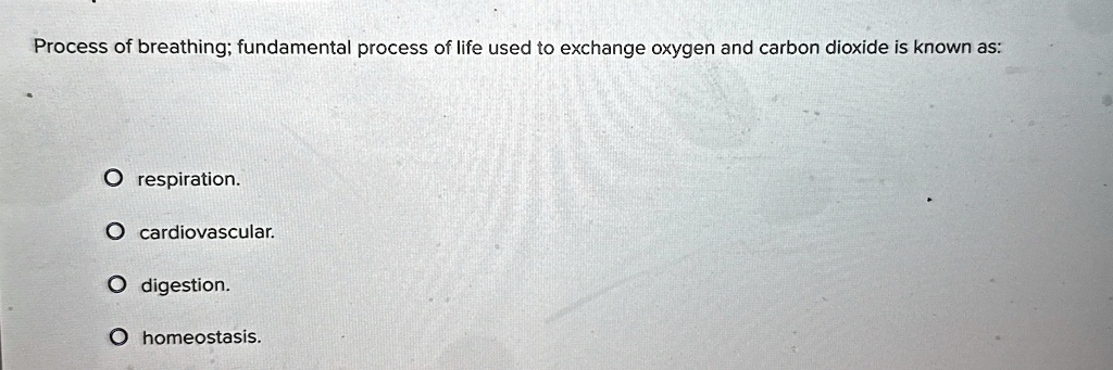 process of breathing fundamental process of life used to exchange ...
