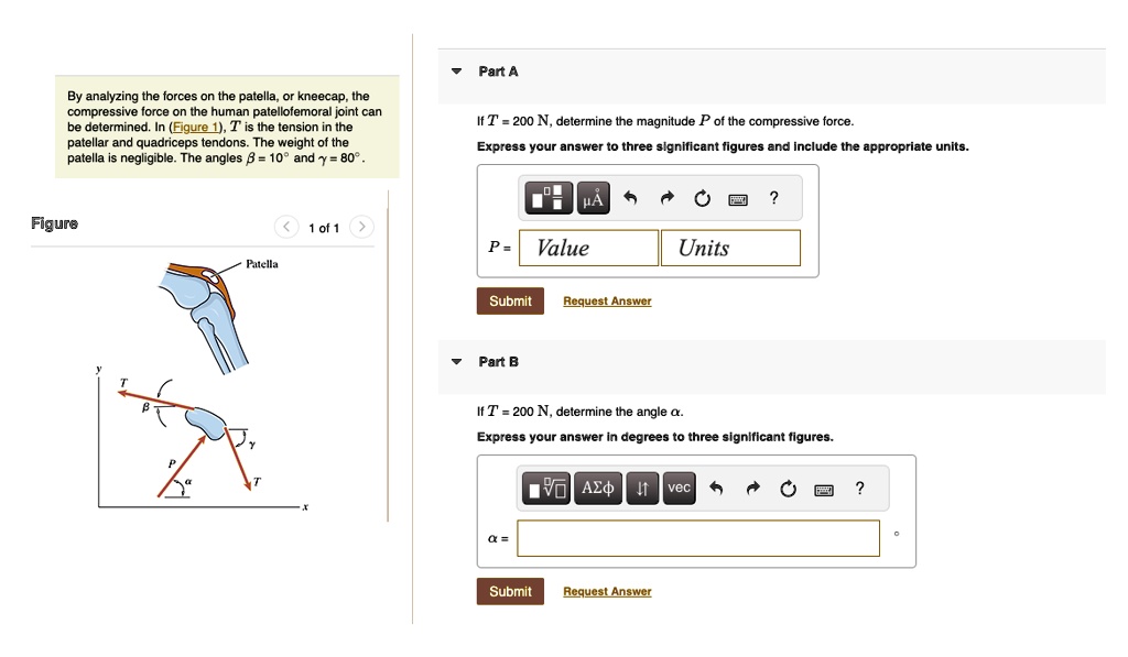 Part A By analyzing the forces on the patella, or kneecap, the ...
