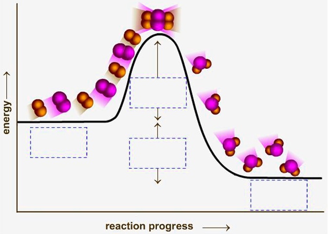 energy reaction progress