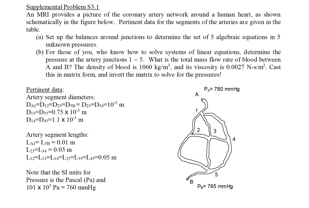 Supplemental Problem S3.1 An MRI provides a picture of the coronary ...