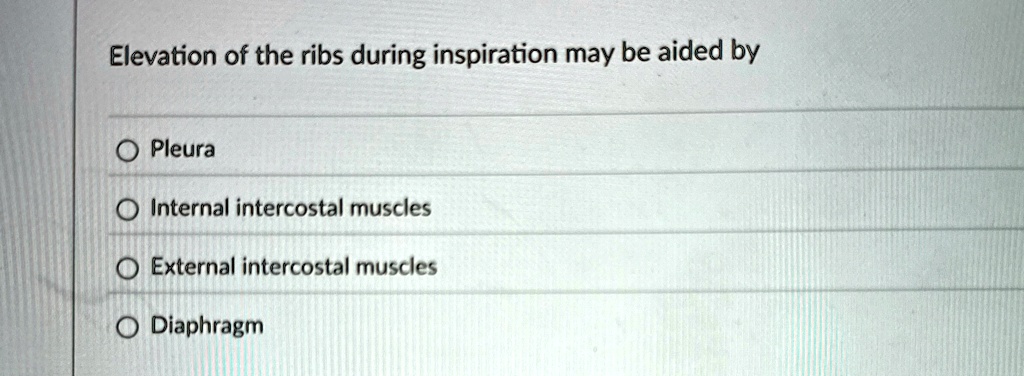 elevation of the ribs during inspiration may be aided by o pleura ...