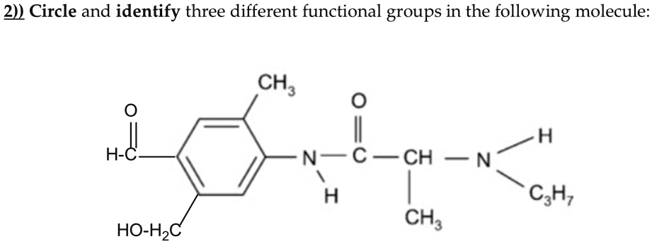 SOLVED: 2) Circle and identify three different functional groups in the following molecule: CH3 ...