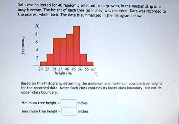 data was collected for 40 randomly selected trees growing in the median ...