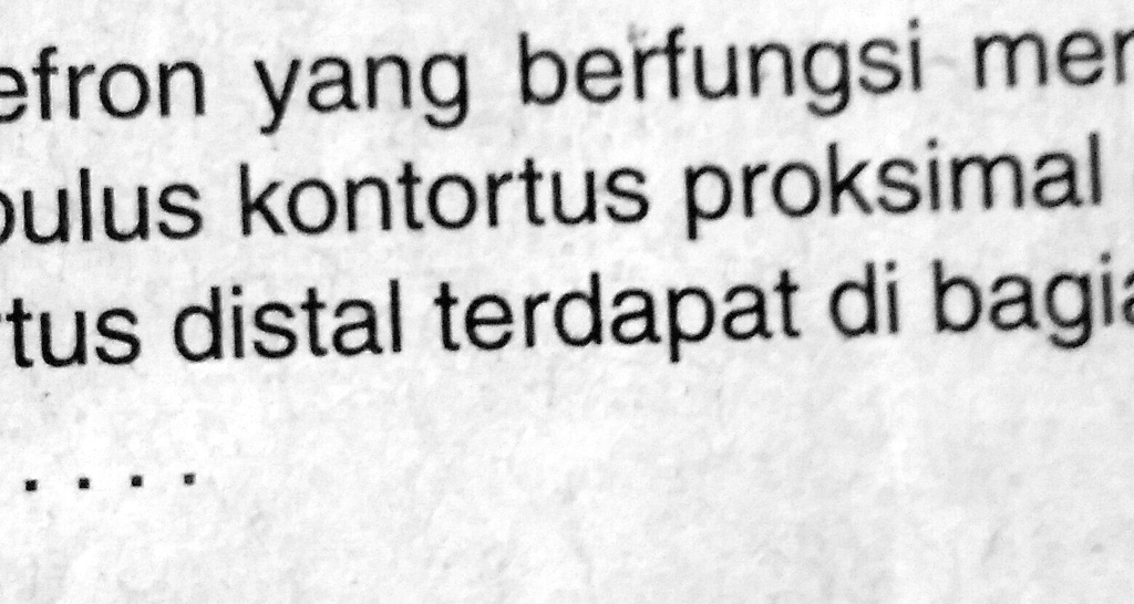 SOLVED: bagian nefron yang berfungsi menghubungkan antara tubulus ...