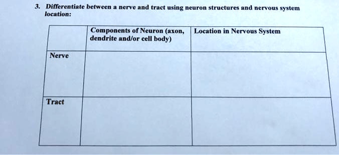 3. Differentiate between a nerve and tract using neuron structures and ...