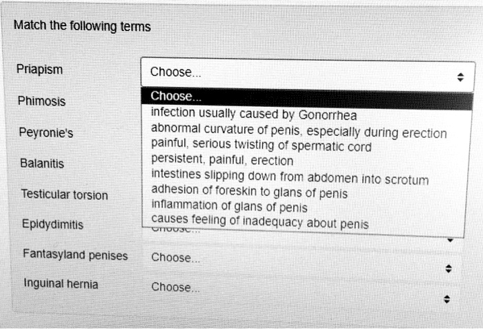 SOLVED: Match the following terms: 1. Priapism: Choose. 2. Phimosis: Choose. 3. Peyronie's ...