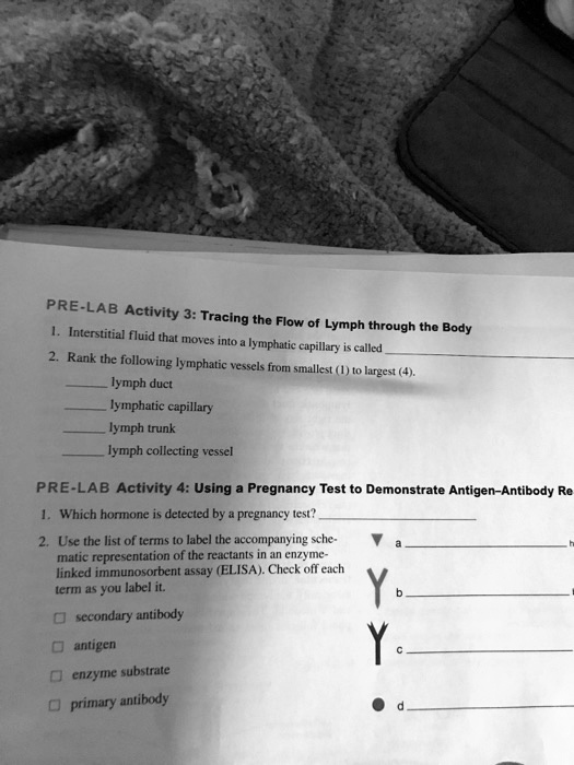 PRE-LAB Activity 3: Tracing the Flow of Lymph through the Body 1 ...