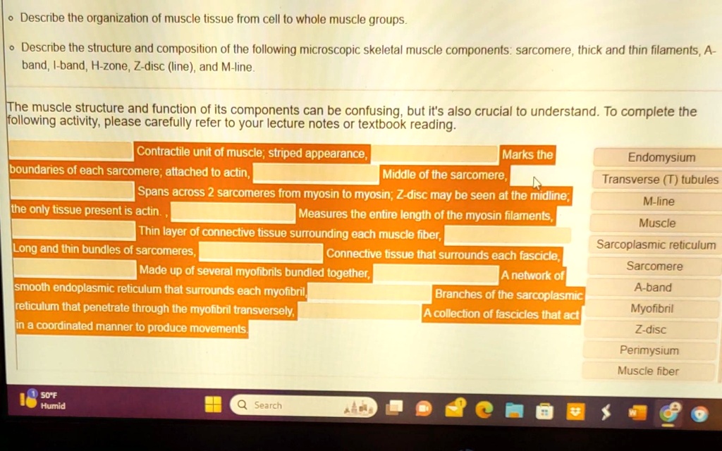 SOLVED: Texts: Anatomy and Physiology - Describe the organization of ...