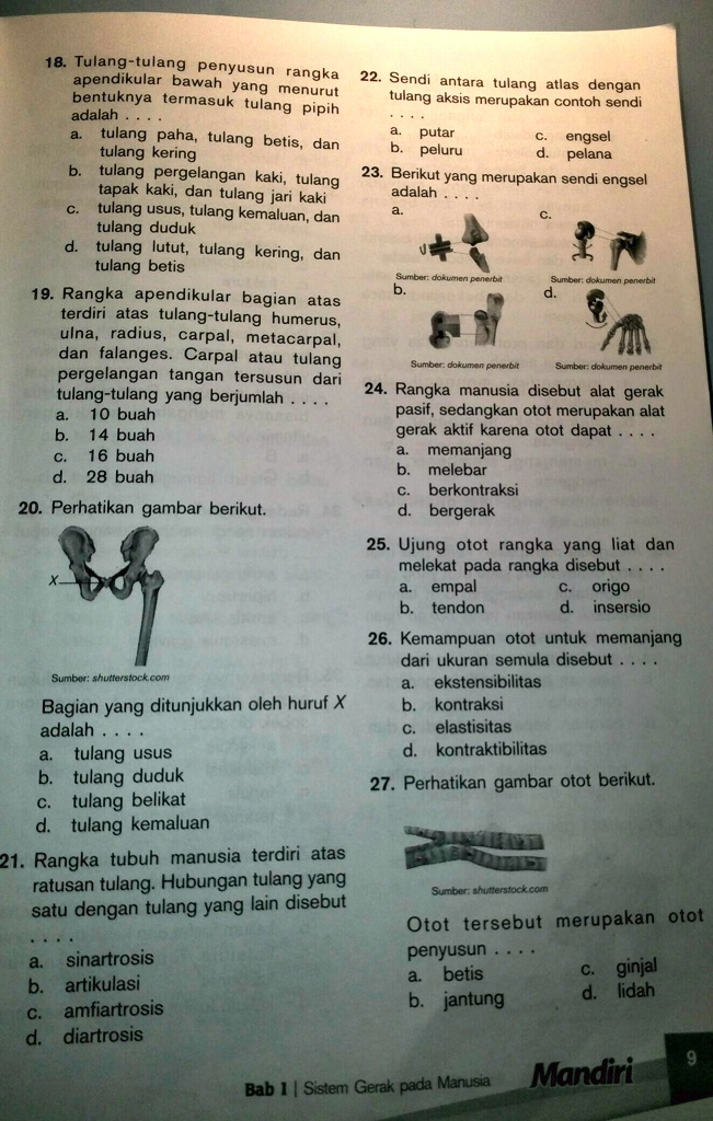 SOLVED: tolong jangan ngasal jawab nya :) 18. Tulang-tulang penyusun ... SOLVED: tolong jangan ngasal jawab nya :) 18. Tulang-tulang penyusun ...