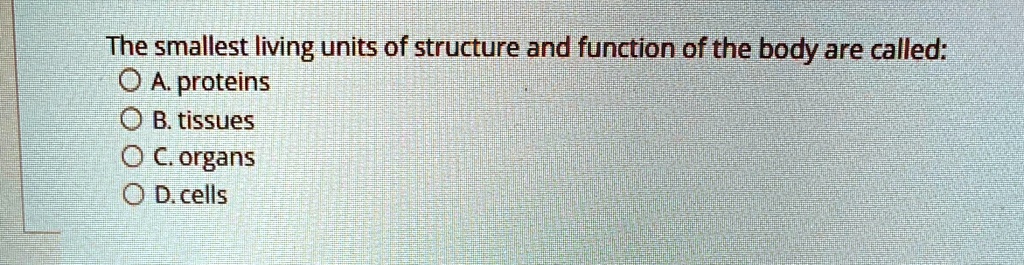 the smallest living units of structure and function of the body are ...