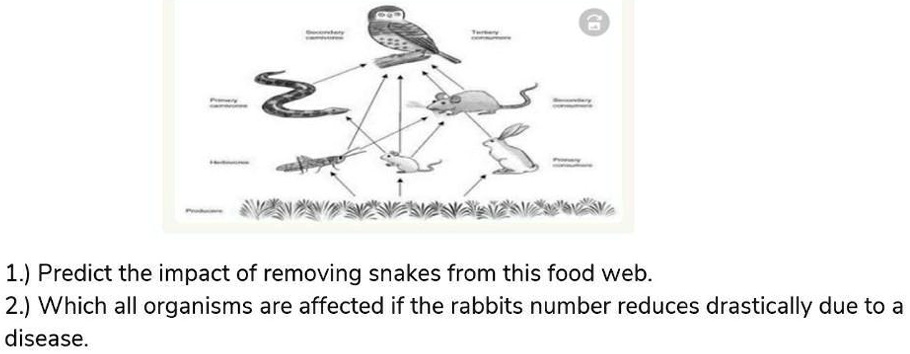 predict the impact of removing snakes from the food webs which all ...