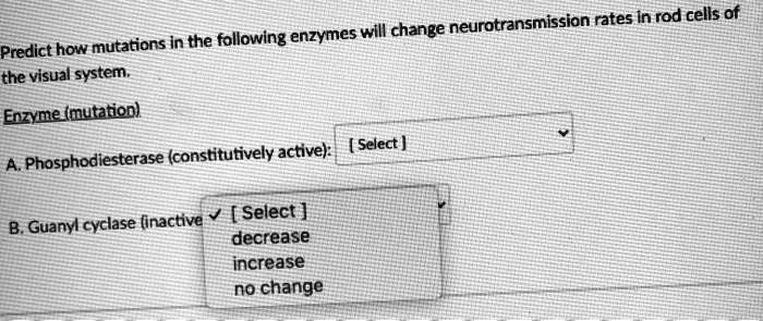 SOLVED: neurotransmission rates In rod cells of Predict how mutations ...