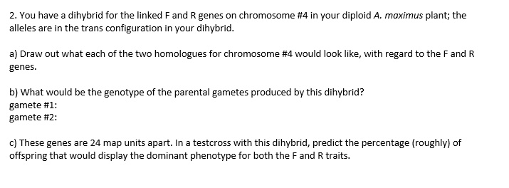 SOLVED:You have dihybrid for the linked and genes on chromosome #4 in ... SOLVED:You have dihybrid for the linked and genes on chromosome #4 in ...