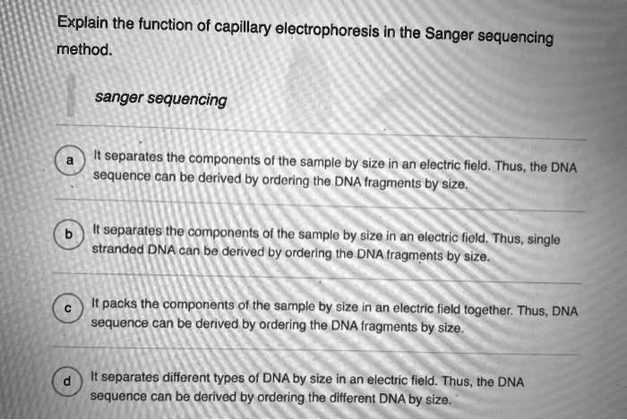 SOLVED: Explain the function of capillary electrophoresis in the Sanger ...