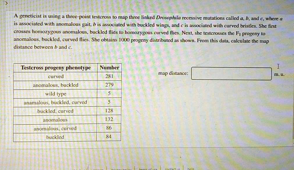 Solved Geneticist Is Using Three Point Testcross To Map Three Linked Drosophila Recessive