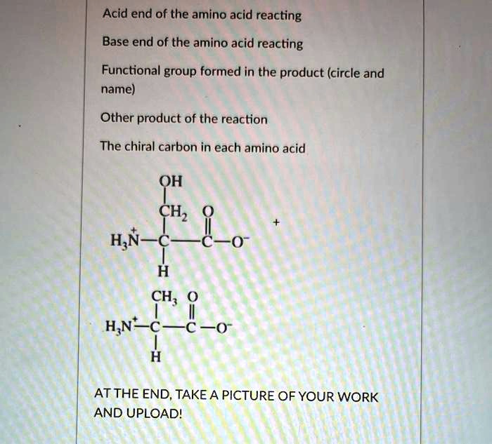 acid end of the amino acid reacting base end of the amino acid reacting ...