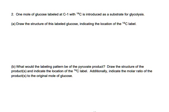 SOLVED: One mole of glucose labeled at C-1 with 14C introduced as a substrate for glycolysis (a ...
