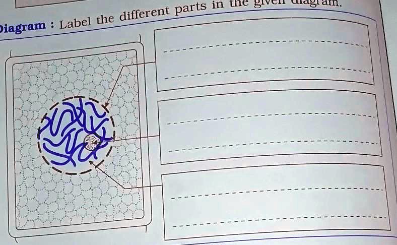 Diagram : Label the different parts in the given diagram.