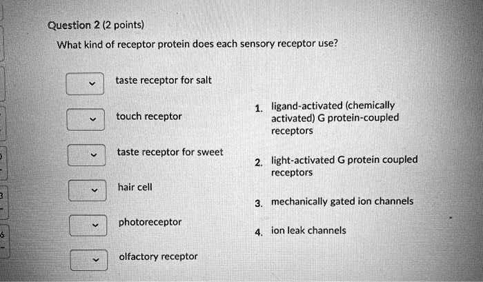 Question 2 (2 points) What kind of receptor protein does each sensory ...