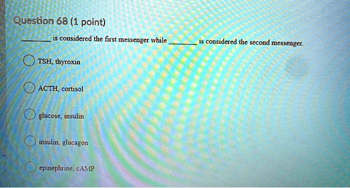 SOLVED: Question 68 (1 point) is considered the first messenger while ... SOLVED: Question 68 (1 point) is considered the first messenger while ...