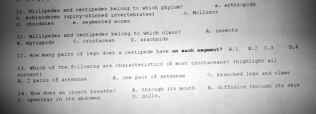 10. Millipedes and centipedes belong to which phylum? a. arthropods b ...