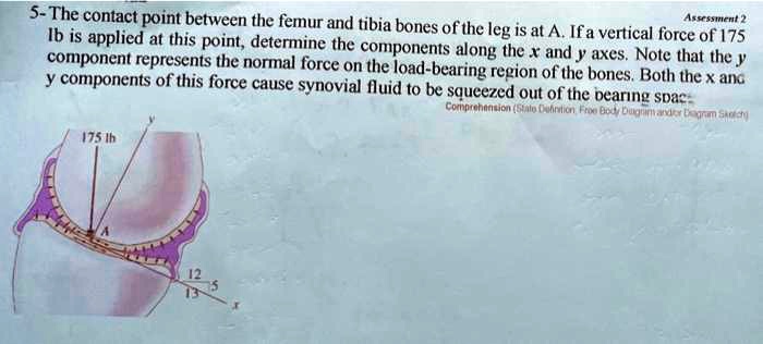 help me 5 the contact point between the femur and tibia bones of the ...