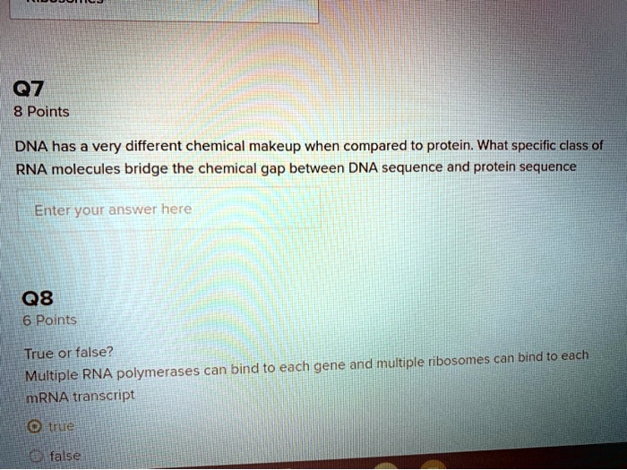 SOLVED: 07 8 Points DNA has a very different chemical makeup when ...