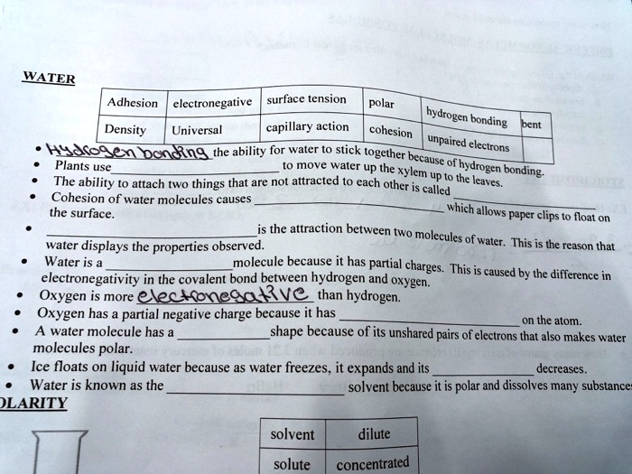 WATER Adhesion electronegative surface tension polar hydrogen bonding ...