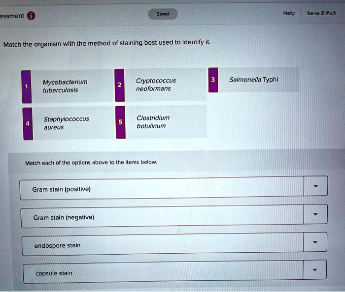 SOLVED: Shvad Hal gave Exll assessment Match the organism with the ...